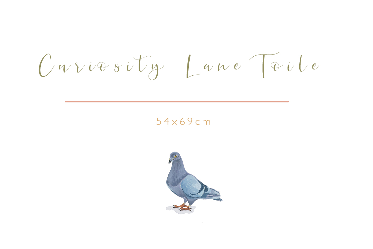 Imogen Stevens | Edinburgh College of Art Graduate Show 2021