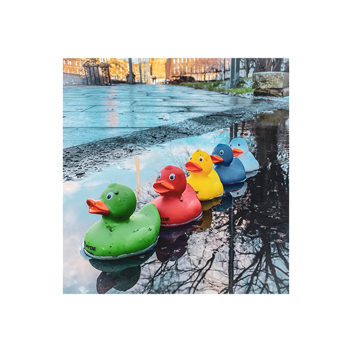 Imogen Stevens | Edinburgh College of Art Graduate Show 2021