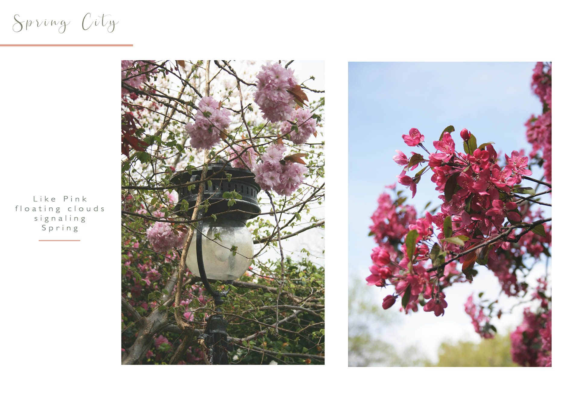 Imogen Stevens | Edinburgh College of Art Graduate Show 2021